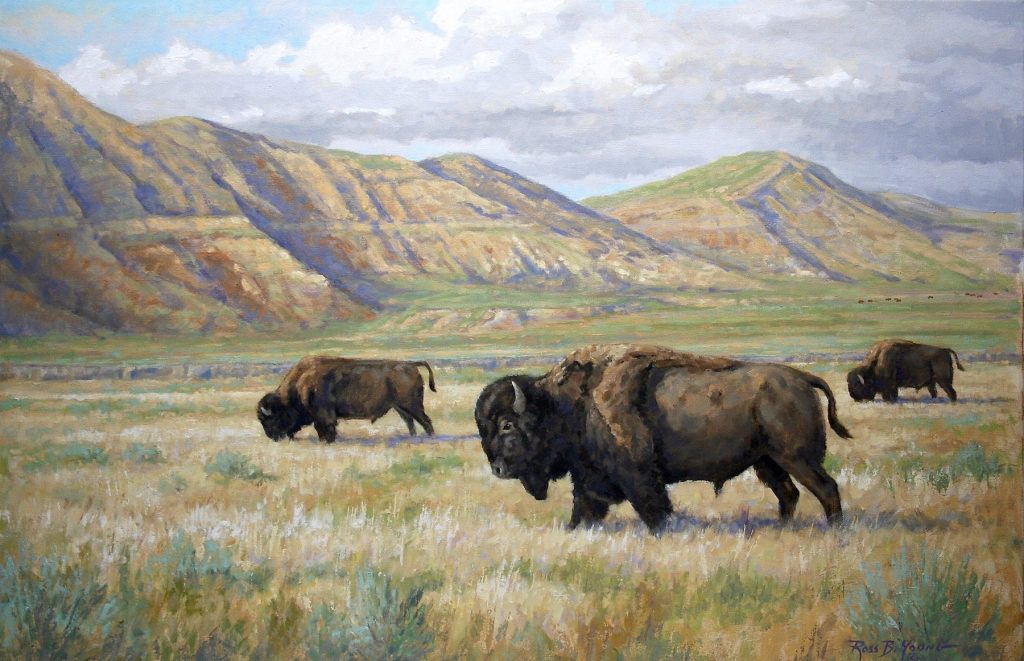 Big Boys on the Little Missouri – Ross Young